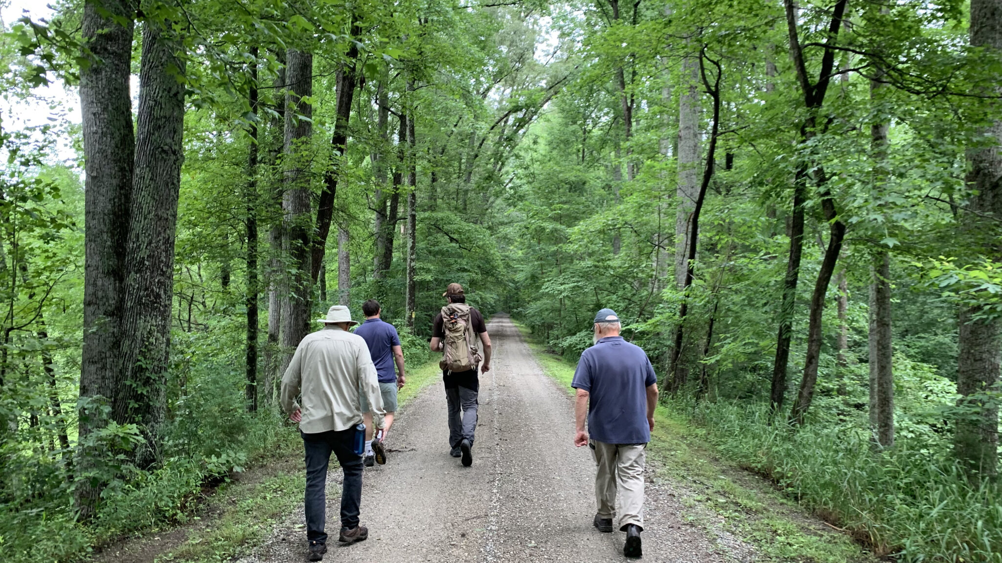 Fall Line - Sports Backers